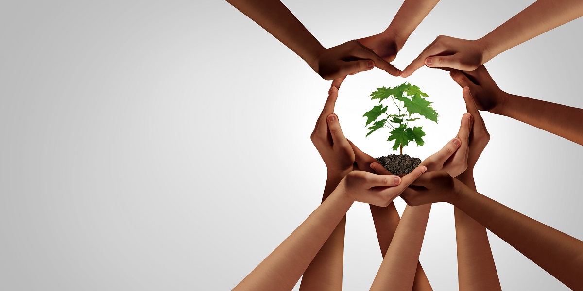 Green Thinking 2020 - Erasmusplus